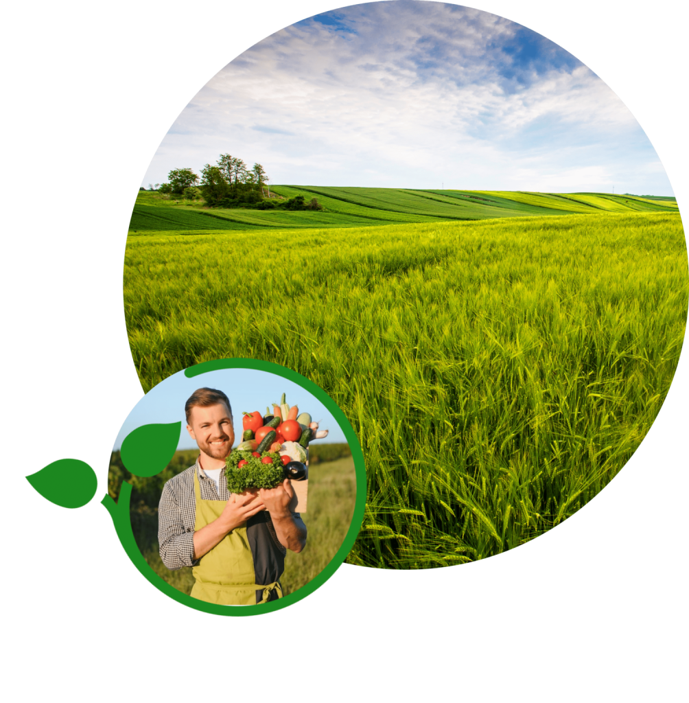 About Us - Organify - Organic Food Inner Page